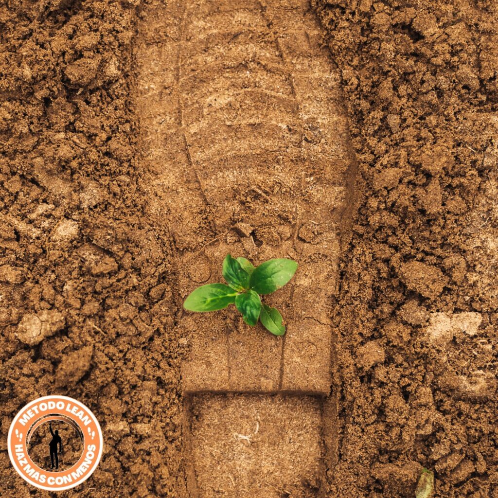Qué es la Huella Ecológica: ¡Cambia el Mundo paso a paso!